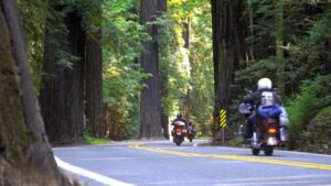 20 Motorcycle Quotes To Inspire You - Fuel Your Passion